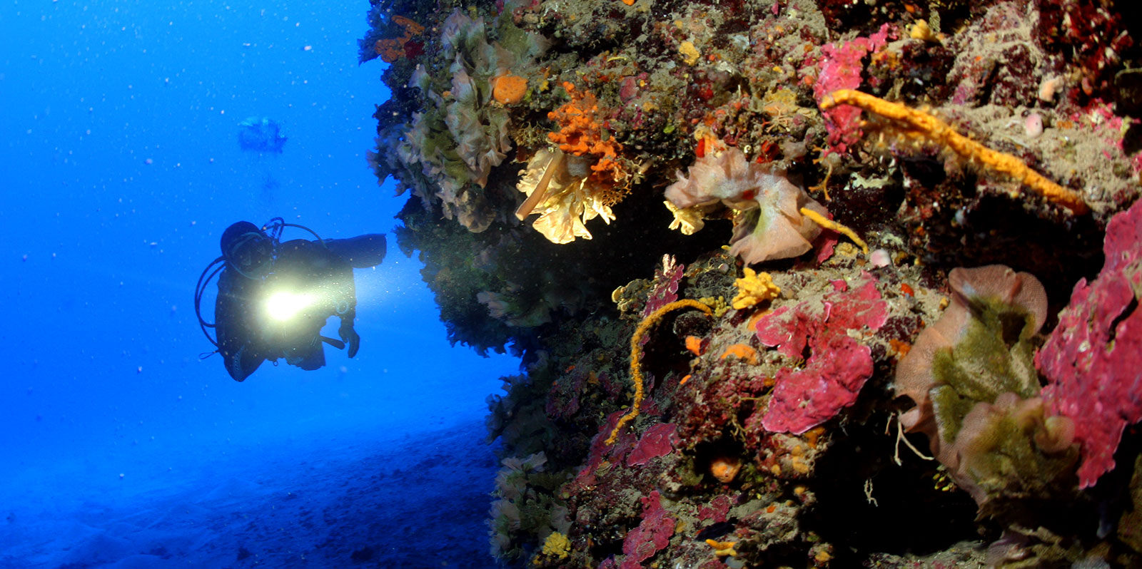 Startseite - Kas Diving