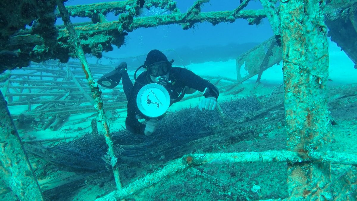 Sidemount - Kas Diving