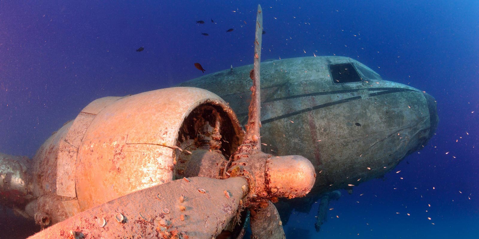 Homepage - Kas Diving